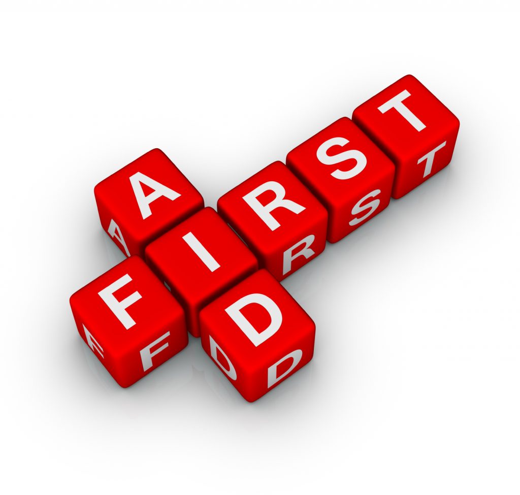 L3 Paediatric First Aid Award, 12 hr blended learning made up of 1 ...