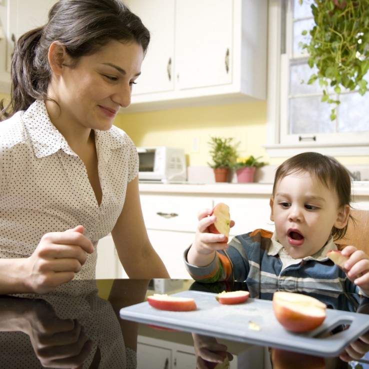 Nanny Ofsted Registration Bundle: Paediatric First Aid 12 hr blended ...
